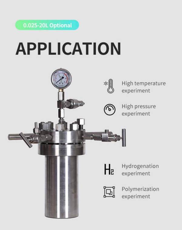 High Pressure Lab Reactors: Advancing Research Possibilities