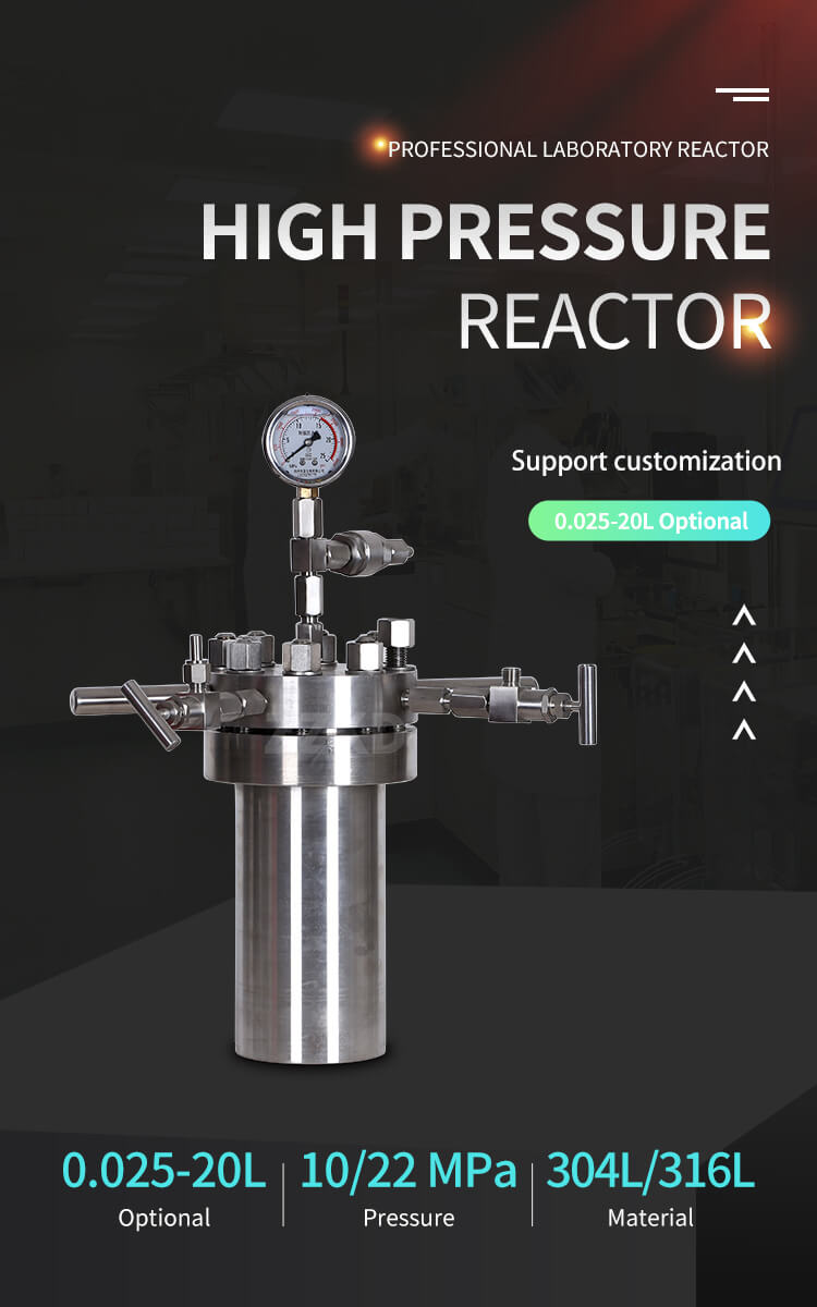 High Pressure Lab Reactors: Advancing Research Possibilities